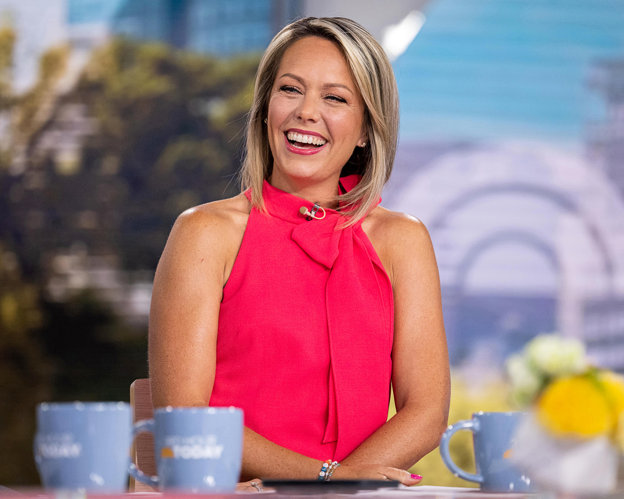 Dylan Dreyer informs her absence from the Today show in the near future without disclosing the ...